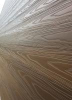 China Waterproof Co-Extrusion WPC Wall Cladding 25mm Thickness for Outdoor Use for sale