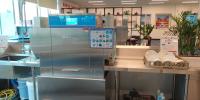 China Wear Resistant Rack Conveyor Dishwasher For Universities And Fast Food Restaurant for sale