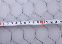 China Galvanized Hexagonal Wire Netting 1.2m x 25m with 13mm Holes and 22 Gauge for Fencing and Animal Enclosures for sale