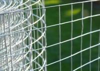 China Welded Wire Mesh Roll 2ft x 30m with 1 Inch Openings and 19 SWG (1mm) Wire for Construction and Fencing for sale