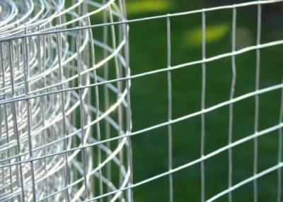 China Welded Wire Mesh Roll 2ft x 30m with 1 Inch Openings and 19 SWG (1mm) Wire for Construction and Fencing for sale