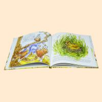 China Full Color English Story Kids Book Printing Customized A4 Hardcover 40 Pages for sale