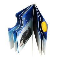 China 4C 4C Cover Color Light Up Book  Matt Lamination Gilding Finishing for sale