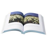 China Novels Soft Cover Book Printing 8.5x11inch Matt Nature Paper For Reading for sale