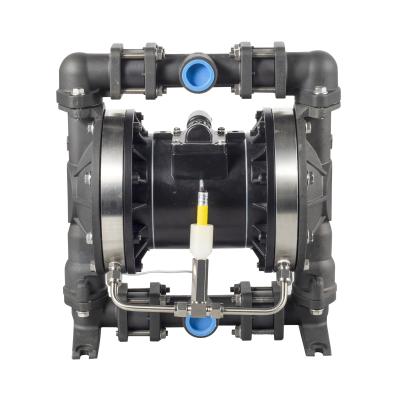 China Diaphragm Pump with Leakage Detection Device Dual Diaphragm 316L Stainless Steel for sale