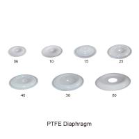 China PTFE Diaphragm Pump Parts for Air Operated Double Diaphragm Pumps 1/4
