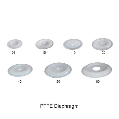 China PTFE Diaphragm Pump Parts for Air Operated Double Diaphragm Pumps 1/4