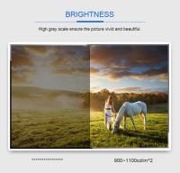 China Indoor Full Color Soft Module P3 and Led Module Display Screen Video Wall SDK Wholesale Price Indoor Led Screen for Meeting Room for sale