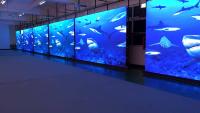 China P10 Hot Selling Indoor Full Color Wall Panel and Led Module Video Display Screen for sale