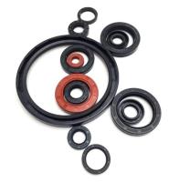 China Nitrile Rubber Cover Double Lip Spring Bearing Shaft Tc Oil Seals for sale