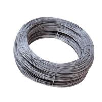 China 52100 Bearing Steel Wire Rod Alloy Steel Wire Rod In Coil Grade Suj2 Steel for sale