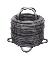 China Cold Drawn Bearing Steel Gcr15, 100Cr6, ASTM-52100, SUJ2 Bearing Steel Wire Rod In Coil for sale