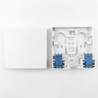 China Wired LAN 2 Cores Plastic Fiber Optic Faceplate Socket Panel for Indoor FTTH Network for sale