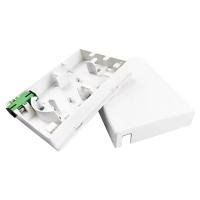 China Time 5 years 2-Cores SC APC Plastic Fiber Optic Faceplate Socket Panel for FTTH Network for sale