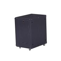 China IP20 Protection Level Wall Mounted Network Cabinet Rack Perfect for Network Management for sale