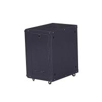 China SPCC Cold Rolled Steel 12U Network Cabinet for Cooling Server Fan and Wall Mount Rack for sale