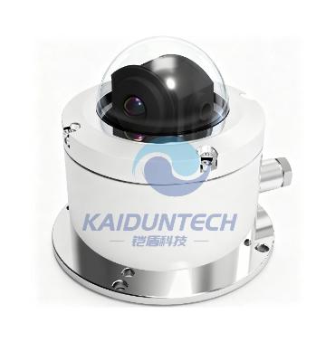 China 5MP 5X Anti-Corrosion PTZ Mini Dome Marine CCTV Camera for sale