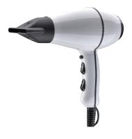 China Professional AC Motor Hair Dryer with 1800W/2000W Power 2-Speed and 3-Temperature Control for Salon and Home Use for sale