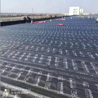China Black Torch Applied Sbs Modified Bituminous Membrane Roofing 3mm for sale