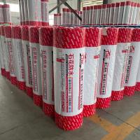 China Acid Alkali Resistant Pe Pp Polypropylene Membrane Roll For Chemical Tank Pit for sale