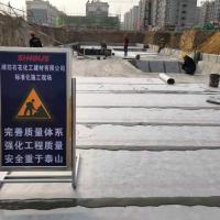 China High Strength Flexibility Pe Pp Polypropylene Membrane Roll For Roof Engineering Projects for sale