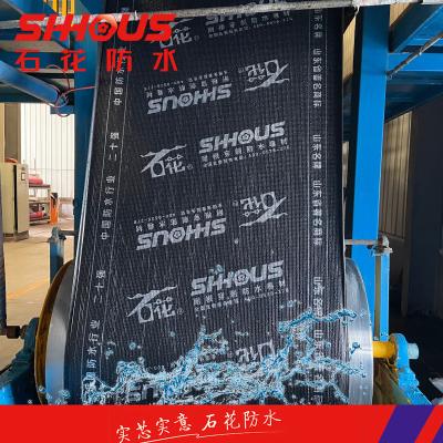 China Anti Blistering Torch Applied Sbs Modified Bitumen Membrane Modified Bitumen Roofing for sale