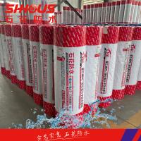 China High Strength Flexibility Pe Pp Polypropylene Membrane Roll For Roof Engineering Projects for sale