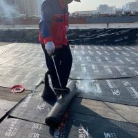 China Root Penetration Proof Modified Bitumen Roof Membrane Waterproof 4.0 mm For Green Roof for sale