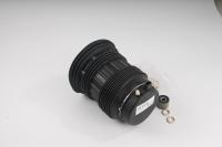 China Automotive Air Suspension Air Spring For Porsche 970 Panamera Rear 97033353317 for sale