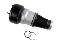 China Auto Air Suspension Spring For Mercedes S - Class W221 W216 Rear A2213205513 2213205613 for sale