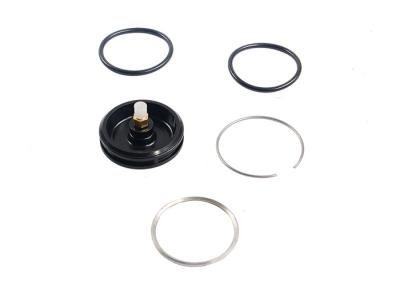 China Mercedesbenz W164 Front Air Shock Repair Kit Gas Filled 1643206113 A1643206013 for sale