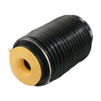 China Rear Left Right Air Suspension Spring For Hyundai Equus 55350-3M501 for sale