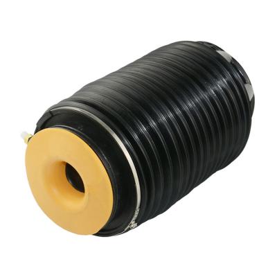 China Rear Left Right Air Suspension Spring For Hyundai Equus 55350-3M501 for sale