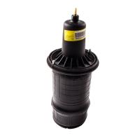 China REB101740 REB101740E Air Suspension Spring Shock Absorber Repair Kit For P38 Front for sale