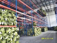 China Cold Rolling Steel Industrial Pallet Racking Systems - 1000-4000KG Capacity, 5000-6000mm Height Options for sale