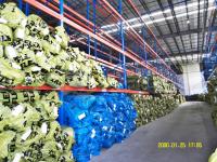 China Cold Rolled Pallet Rack Systems for Clothing Industry - 1000-4000KG Capacity, 2500-3800mm Width Options for sale