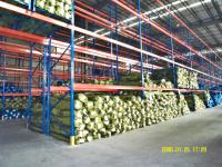 China Cold Rolled Pallet Rack Systems for Clothing Industry - 1000-4000KG Capacity, 2500-3800mm Width Options for sale