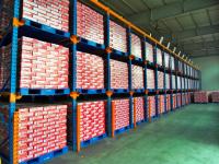 China Powder Coated Drive-In Pallet Rack System with 500-2000KG Capacity and 4000-6000mm Height Options for sale