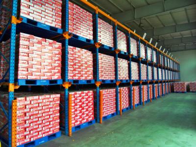 China Powder Coated Drive-In Pallet Rack System with 500-2000KG Capacity and 4000-6000mm Height Options for sale