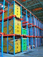 China 5000mm Drive Through Pallet Racking System - 500KG to 2000KG Capacity Industrial Metal Shelving for sale