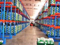 China Medium Duty Drive-In Pallet Rack System with 500-2000KG Capacity and 4000-6000mm Height Options for sale