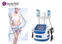 China Portable 360 Cryolipolysis Vacuum Machine Professional Fat Freeze 8.0