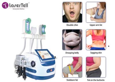 China Painless 650nm Cryolipolysis Body Slimming Machine For Fat Freezing for sale