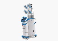 China 40k Salon Use Portable Cryolipolysis Machine Body Shaping Freeze for sale