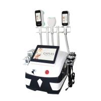 China Dual Handles Fat Freeze Cryolipolysis Vacuum Slimming Machine for sale