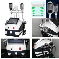 China Dual Handles Fat Freeze Cryolipolysis Vacuum Slimming Machine for sale