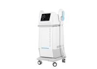 China Touch Screen Ems Slimming Machine High Frequency Fat Reduction for sale