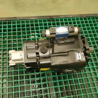 China High Performance Agricultural Hydraulic Pumps For Grape Machinery for sale