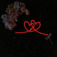China Outdoor Neon Sign for Mrs Mr Will You Marry Me A Symbol of Love and Commitment for sale