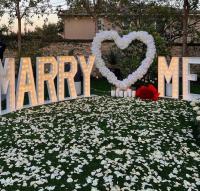 China Stainless Steel Will You Marry Me Sign Neon Sign Decoration Wedding Marquee Light Up 4ft Letters for sale